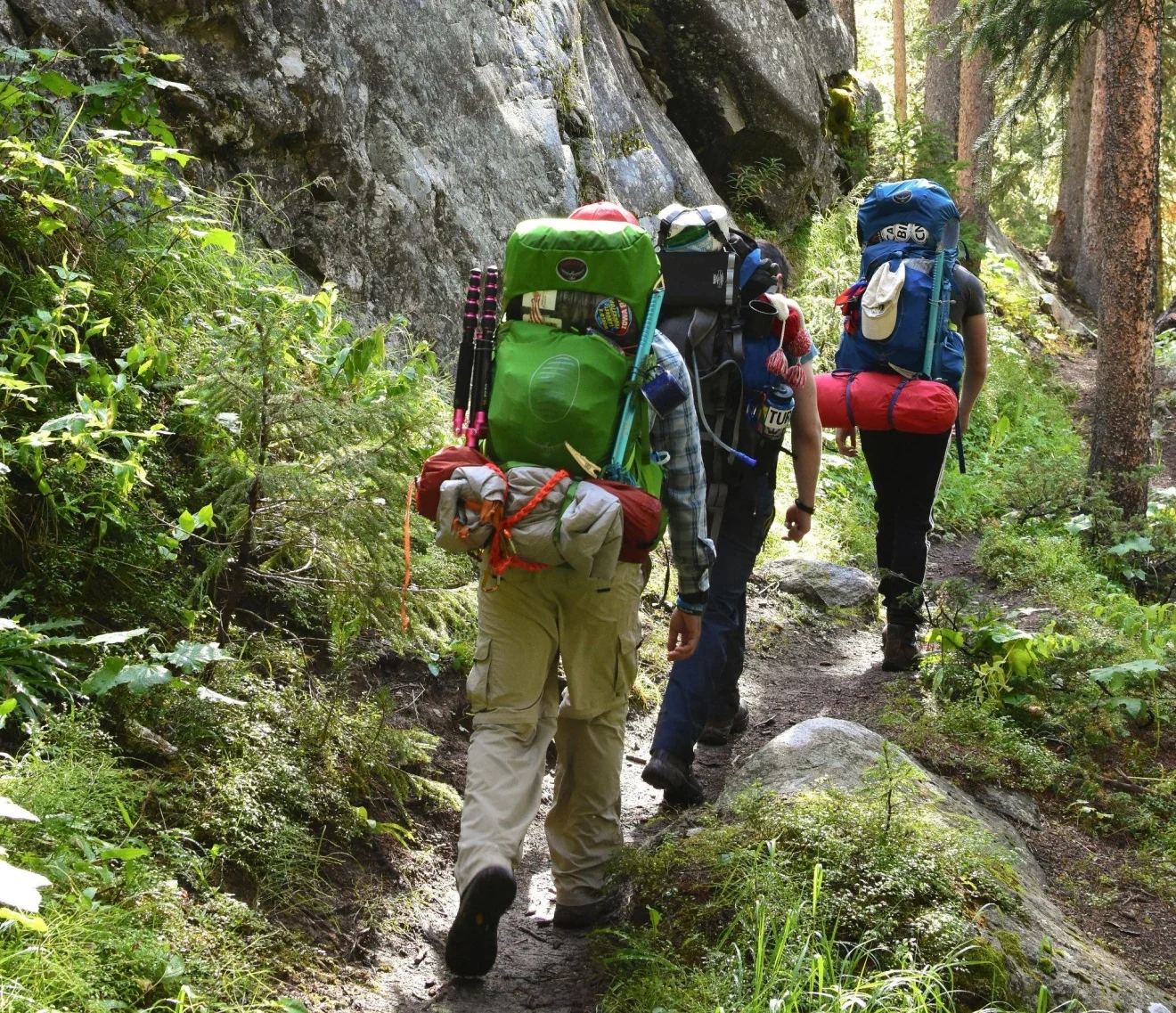 A Season-by-Season Guide to Visiting Cook Forest - thetipsygypsies.net